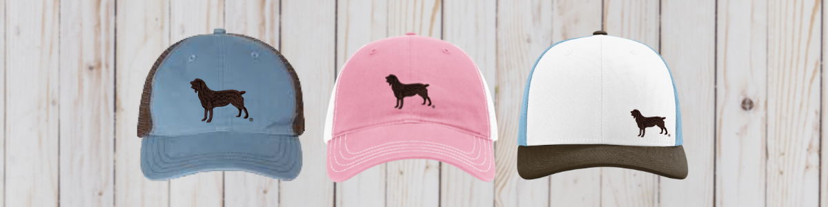Hats – tagged "Hats" – Boykin Spaniel Outfitters