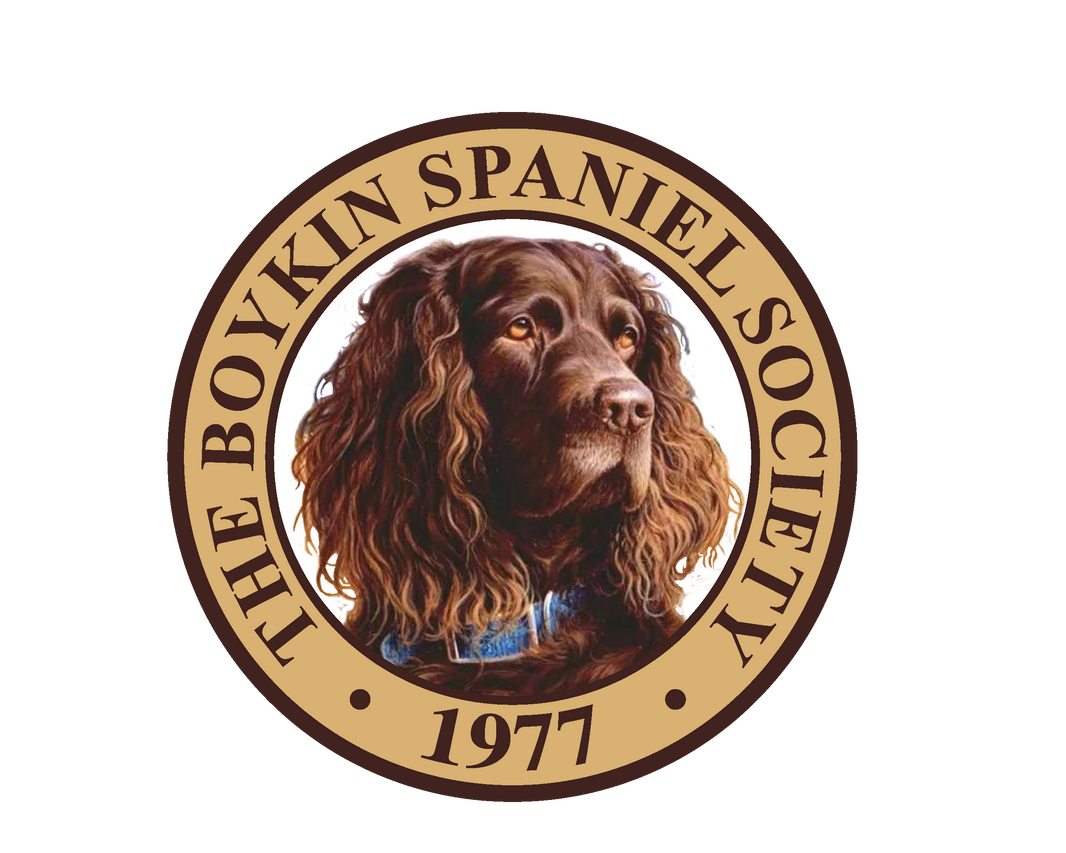 Vinyl Decals – Boykin Spaniel Outfitters